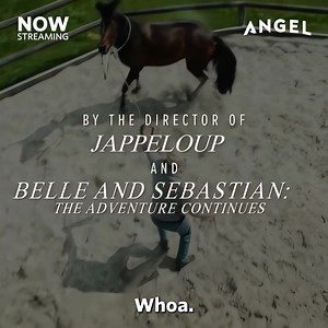 NOW STREAMING! When dreams shatter and life gets messy, this family doesn’t run—they ride it out together. 🐎💪 Ride Above is a heartfelt story of resilience and love that feels achingly real. Watch now on Angel. 💛 | Angel