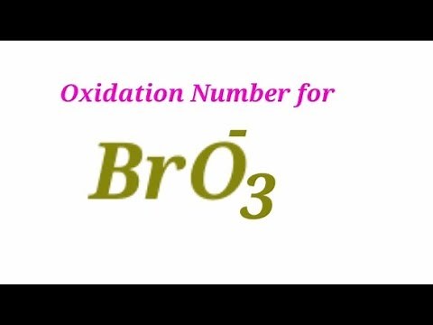 Oxidation Number for BrO3- . Oxidation state of Bromate ion. Oxidation state of bro3- . BrO3 -