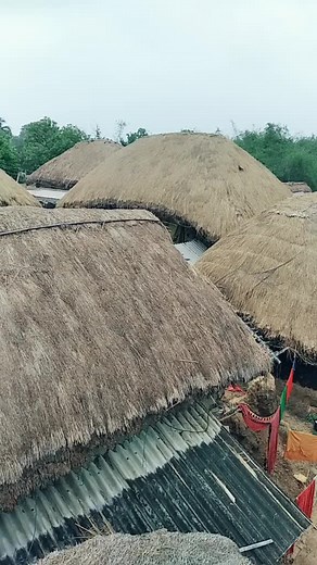 Santo (@santabagdi5)’s videos with original sound - 🌳green world 007🌳 - user85762275805