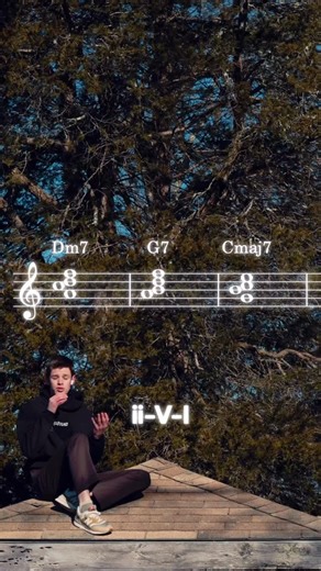 Ezra George on Instagram: "The crux of the backdoor progression is the bVII7 chord, which is borrowed from the parallel minor key. Jerry Coker gave popularity to the name in his book “Elements of the Jazz Language for the Developing Improvisor” published in 1997. The bVII7 chord, as well as other unconventional dominant chords, have been incorporated and justified through the Barry Harris method, which relies heavily on the symmetrical structure of fully diminished seventh chords."