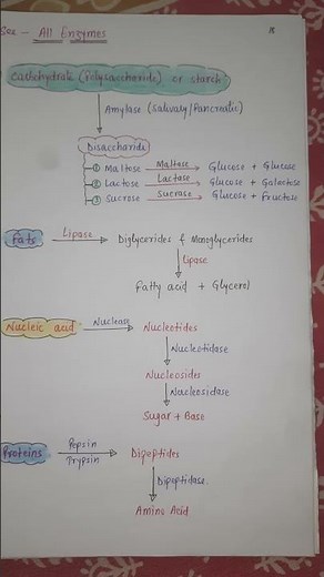 10th class Nutrition #short #biology #10th biology