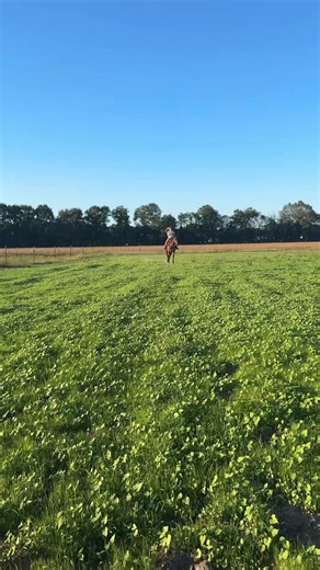 The girls 🩷#students #ridinginstructor | Dusty Bottom Farms