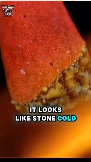 Slow Motion Expert Shares Top High Speed Camera Secrets