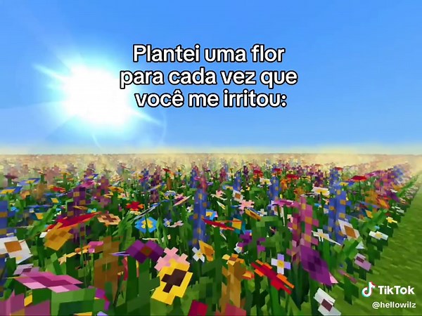Flores de Amor: Declarações Apaixonadas no Manecraft