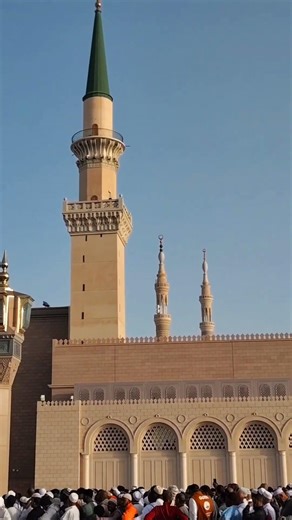 ziyarat rozarasool ﷺ Madina saharif#🙌🌹💚#love#madina #rasoolallah#islam#islamicstatus#ziyarat#shorts