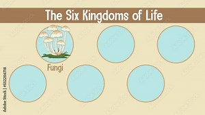 Six kingdoms of life animated with examples of organisms from each kingdom Stock Video