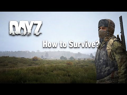What To Do First When You Spawn – DayZ Beginner Guide (2025)