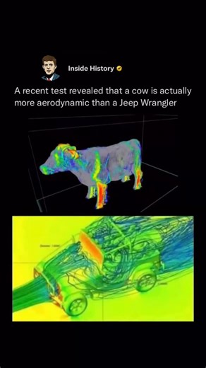 Inside History on Instagram: "Follow (us) @InsideHistory to learn something NEW everyday 🧠💫 Some aerodynamic studies have shown that, in certain wind tunnel tests, a cow can actually outperform a Jeep Wrangler! 🐄 Thanks to its rounded body and smoother contours, a cow allows air to flow around it more efficiently than the Wrangler’s flat front and boxy shape. In these cases, the cow’s drag coefficient was slightly lower—meaning it produced less air resistance. It’s a funny yet fascinating rem