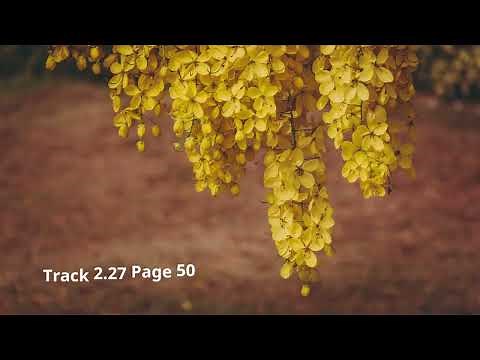 SOLUTION ELEMENTARY 3rd edition STUDENT BOOK - EXAM SKILLS TRAINERS 1,2,3,4,5