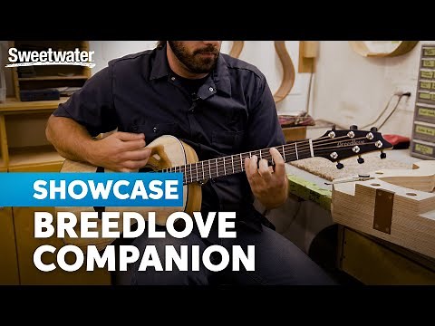 Breedlove Companion: The Beginning of an Acoustic Odyssey