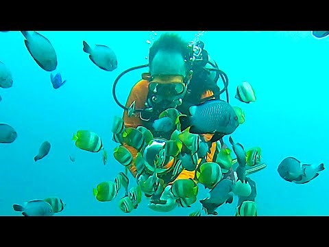 GoPro Dome Housing - 6" Telesin Dive Review