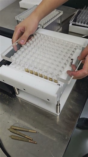 Starting your own pre-roll line? #prerollmachine #conesfilling #automation #startupbrand #raw