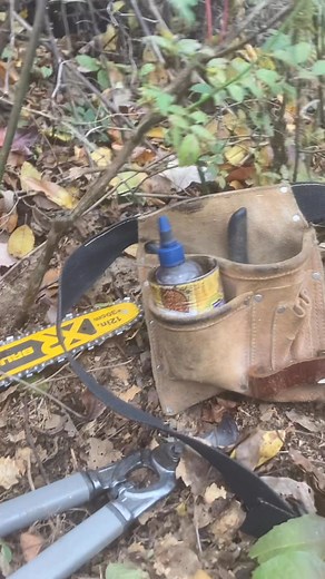 Here’s how I work at restoring the forest by removing invasive multiflora rose, privet, honeysuckle, and burning bush. | Jeanne Zimmerly Jantzi