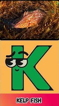 ABC Camouflage Sea Creatures Song 🐟 A to Z Ocean Animals in Disguise | Learn Marine Life | UZR Kids