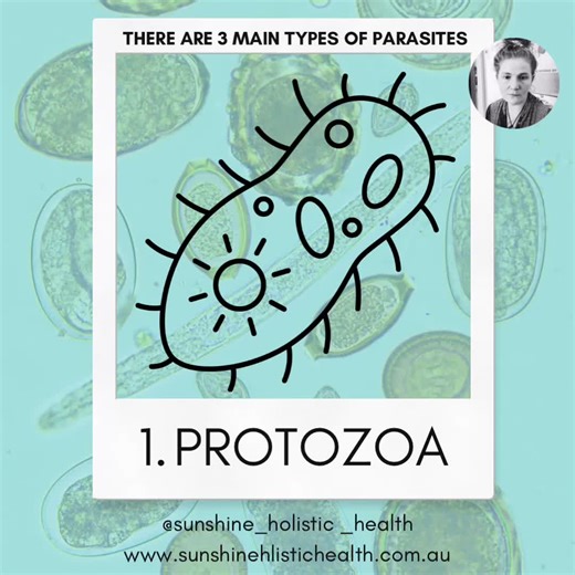 Protozoa: The Microscopic Parasites Impacting Gut Health