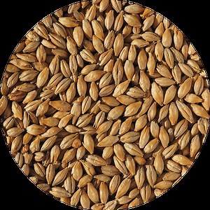Dextrin Malt | Crisp British Malt for Added Foam And Body Enhancer