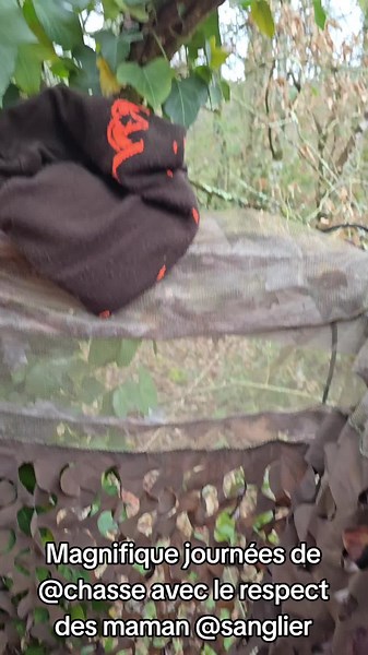 Magnifique laie sur cette journées de #chasse en #36 ne pa tiré et aussi un acte de chasse #sanglier #france🇫🇷 #frances #chasseur #nature #chasseurfrancais #cerf #battute #chasseresse