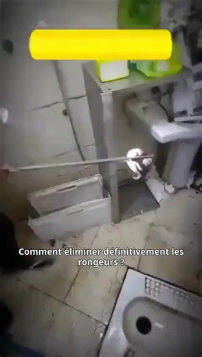 🐭 【Ultrasonic Rodent Repeller】Silent protection, chemical-free pest control for peace of mind! ✨ Smart variable-frequency ultrasonic waves repel mice/cockroaches/mosquitoes, covering 120㎡ with no blind spots~ 🔇 25kHz silent operation—imperceptible to humans and pets, won't disturb sleep. Plug-and-play convenience! 🌿 Physical repellent technology—safe for pregnant women, infants, and pets. Comprehensive protection for kitchens and storage areas! | Gejuesk