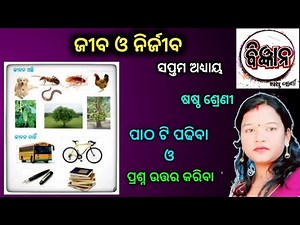 Class 6 Science chapter 7 odia medium || science chapter 7 class 6 | jiba o nirjiba question answer