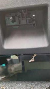 2012 Fiat 500 Sport Passenger Compartment Secret