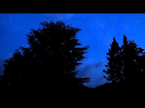 Vogelgesang in der Nacht