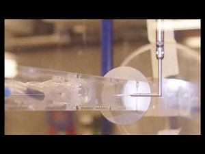 Von Karman Street of Vortices (2) Experimental observations