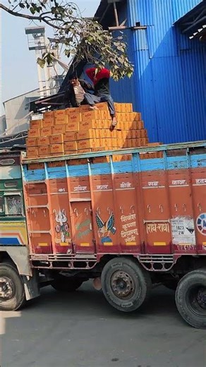 Day 07 | Daily vlogs 🥰