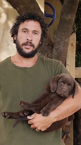 Day One Of Owning A Dog… | How to DAD