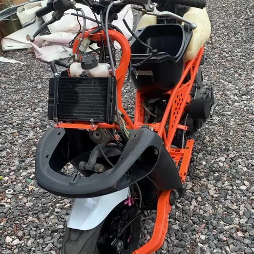 eclectic custom scooters on TikTok