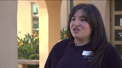 San Diego Humane Society sees surge in popular dog breeds, offers trial adoption program