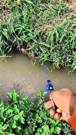 #Fishing #FishingShorts #BigCatch #OceanFishing #RiverFishing #CatchAndCook #OutdoorLife #FishFight