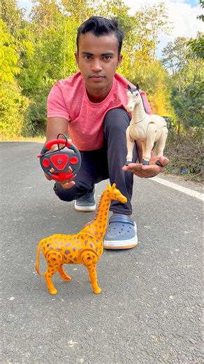 RC remote control, 1 ta giraffe 🦒 and 1 ta horse and boxing & testing