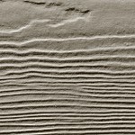 James Hardie Siding Monterey Taupe Color & Design Ideas