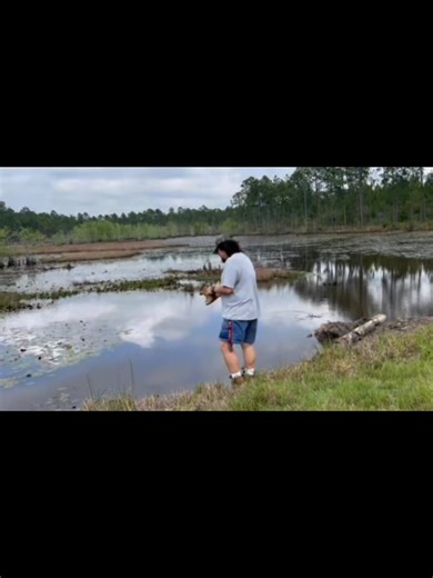 Let’s work up a large Common snapping turtle with a wound on his head, a smaller common snapping turtle with old injuries to shell, leg and tail, and a Chicken turtle. We had a special Guest come out to help and we then took him to the Honey Hole to release the 2 snapping turtles. He then took the Chicken Turtle back to its location after collecting Data. Here is a little bit about him~ “My name is David Pounders, and I am a first-year Ph.D. student at the University of Southern Mississippi. I g