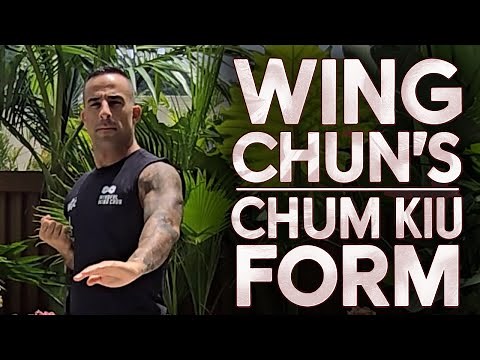 WING CHUN KUNG FU's 2ND FORM - "CHUM KIU"