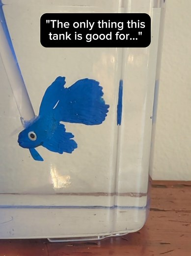 The @Aqueon Betta Bowl Kit is OK for fake fish but not OK for any other fish. This 0.5 gallon aquarium is marketed as suitable for up to two bettas. It will subject bettas to unhealthy and non-stimulating conditions their entire lives. Sign the petition (4th link in linktree of this account) asking Aqueon to stop manufacturing under one gallon betta fish aquariums. Betta fish need at least five gallons, a filter, heater, and lots of environmental enrichment like plants and hiding spots. #aqueon 
