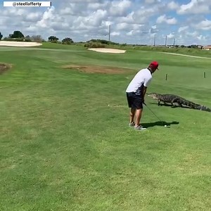 As Instagram user @steellafferty stated: "Golfing in Florida is just different... 🐊" | The National Desk - TND