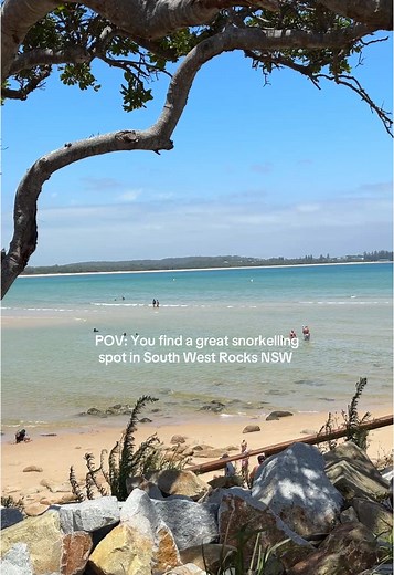 Discover Snorkeling Spots in South West Rocks NSW