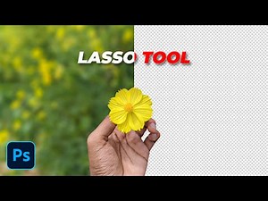 How to Select an Object with the Lasso Tool in Photoshop