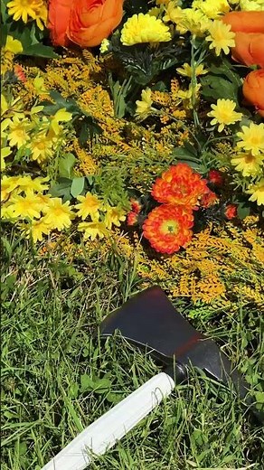 The Hunger Games: Sunrise on the Reaping – now in production.