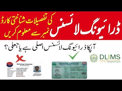 How to Verify Your Driving License Online | DLIMS Punjab Online Driving License Verification