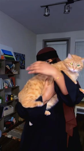 Humans vs. AI: Who Performs Better?