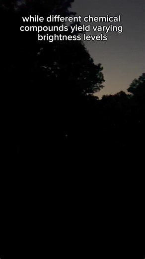 Are you team lightning bug or firefly? 🪰💡 Whatever you call them, fireflies are important environmental indicators because they live in moist soil or leaf litter, and near water sources such as rivers, lakes, and marshes. Several species are listed on the IUCN Redlist as either vulnerable or endangered. You can help the next generation of fireflies by reducing the use of artificial lights, limiting the amount of pesticide and herbicides in your yard, and encouraging the growth of native plants