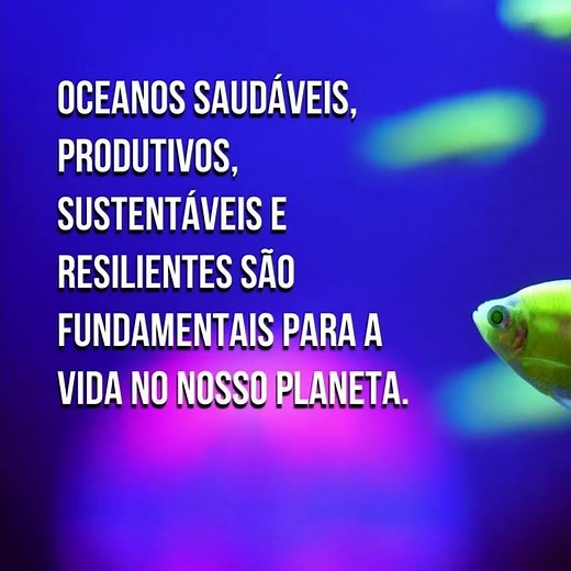 Vida na Água - ODS 14