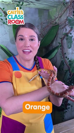 Learn about adjectives with reptiles! #supersimpleplay #reptiles #caitie