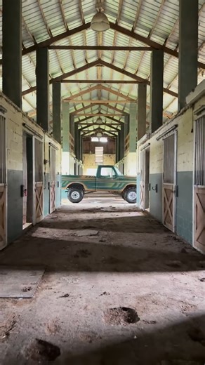 1.9K views · 712 reactions |  1977 F150 4x4 “Gator”  33x10.50/15 with a 4” @skyjacker lift & steering stabilizers. Use code: FordEra10 and save 10% on everything Skyjacker.com | Solomon Lunger | Facebook