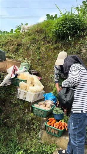 Beli Oleh” Di Nepal Van Java #murah #shorts