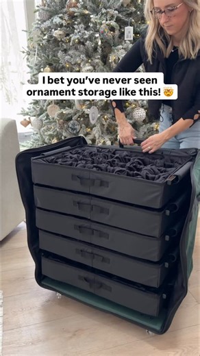 This collapsible ornament storage box sells out every year so if I were you… I’d RUNNN! It’s so cool! ⬇️⭐️COMMENT ‘LINKS’ and I’ll send you the link along with some of my other favorite storage items! *must be following @comestayawhile or the automated link won’t send* #storagesolutions #storageideas LinkDM *089* | Come Stay Awhile