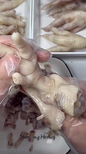 Chicken Feet Preparation in a Clean Kitchen