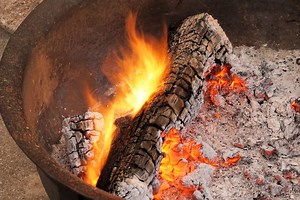 61 Uses for Wood Ash on the Homestead